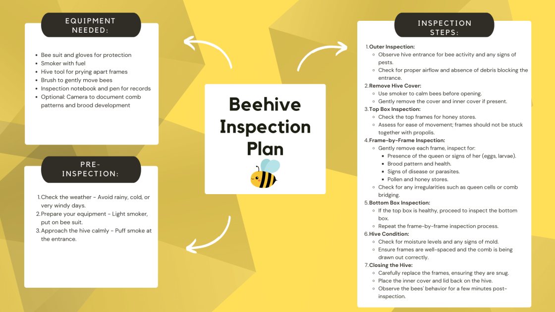 How To Inspect A Beehive?: 10 Tips For The Ultimate Colony Health!